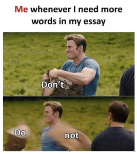 The best essay memes: some popular examples | Best-essay-services.com